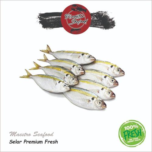 Jual Ikan Selar Premium Fresh - 1.000 gr - Kota Tangerang Selatan ...