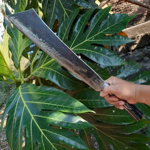 Jual Golok Lebih Tebal dan Kuat - Parang Arit Pemotong Kayu Pohon Besar ...