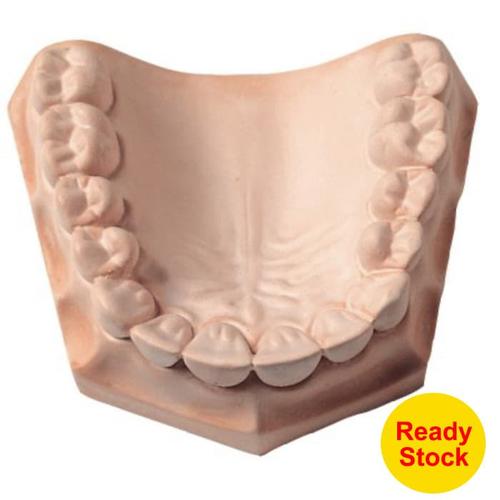 Jual Dental gip stone untuk cor warna pink - Merah Muda - Jakarta ...