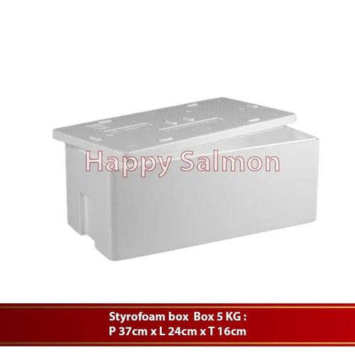 Jual PROMO Styrofoam box 3-5kg / Sterofoam Ikan Segar/cool box/ice box ...