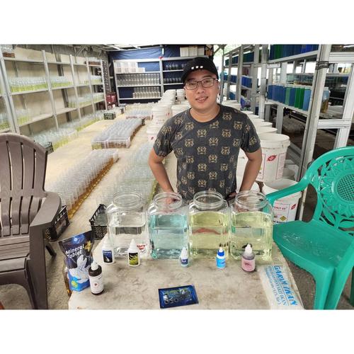 Jual Maddie Land Betta Farm By Ivan GBI Cilodong Depok - Kota Depok ...