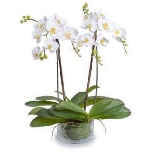 Promo Table Flower – 607 Bunga Meja Anggrek Bulan Bunga Cantik Bunga ...