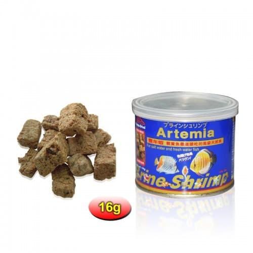Jual Artemia brine shrimp 16g saltwater / freshwater fish food / coral ...