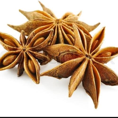 Jual BUNGA LAWANG ,PEKAK EKONOMIS PACK 20gram - Jakarta Selatan ...