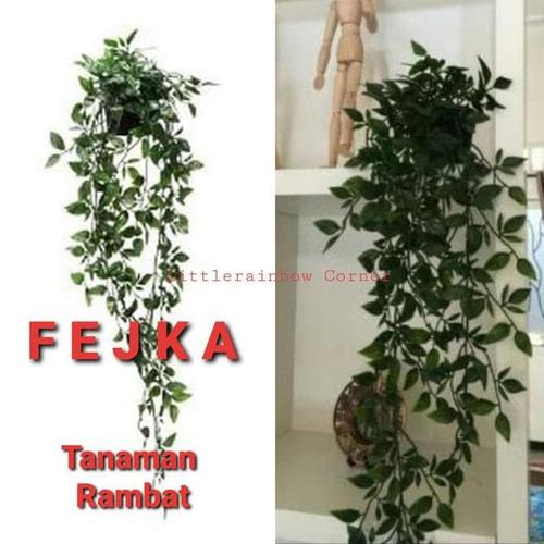 Jual Tanaman Rambat Plastik Artificial Dalam Pot Piuopoiu - Jakarta ...