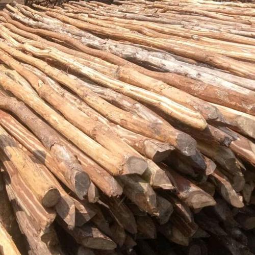 Jual kayu. dolken puspa. untuk kandang ayam - Kota Tangerang Selatan ...