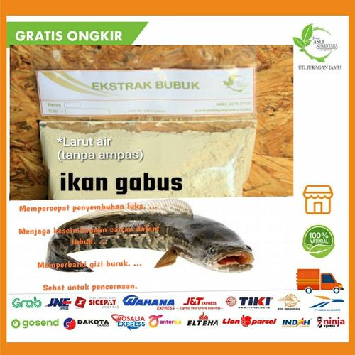 Jual ikan gabus Ekstrak bubuk serbuk kutuk albumin - Bubuk 50gr - Kab ...