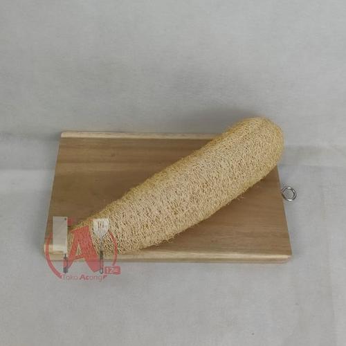 Jual Sikat Cuci Piring / Oyong Kering Grade A / Gambas - .Super Kecil ...