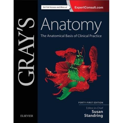 Jual Gray's Anatomy The Anatomical Basis of Clinical Practice COLOR ...