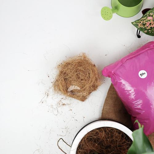 Jual Serabut Kelapa Cocofiber Grade B Sisa Serabut Premium - Kab. Bogor ...
