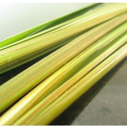 Jual Ready DAUN KELAPA MUDA ISI 20 batang ( 40 helai ) DAUN SEGAR ...