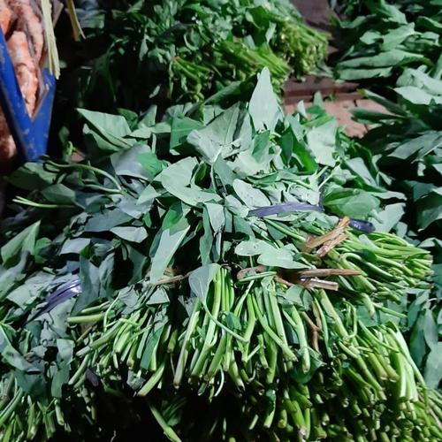 Jual Sayur Kangkung Potong Rawa 1 ikat isi 10pcs - Jakarta Timur ...