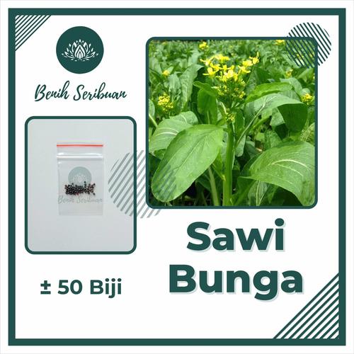 Promo 50 Bibit Sawi Bunga Manis F1 Choy Sum Benih Sayuran Caisim ...