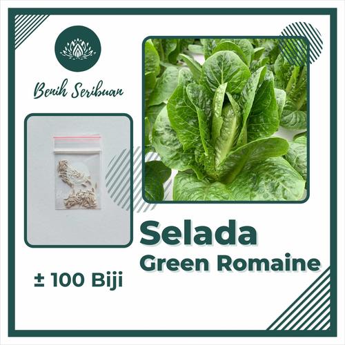 Promo 100 Benih Selada Green Romaine Hijau Bibit Sayur Lettuce Romain ...
