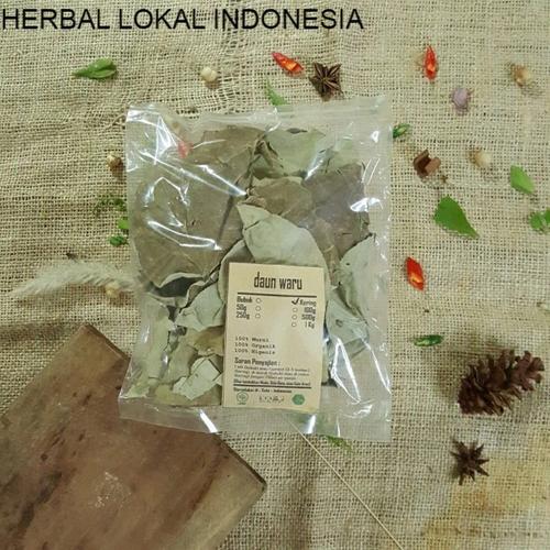Jual DAUN WARU KERING 500 GRAM - Hibiscus Tiliaceus - MURNI - JSR ...