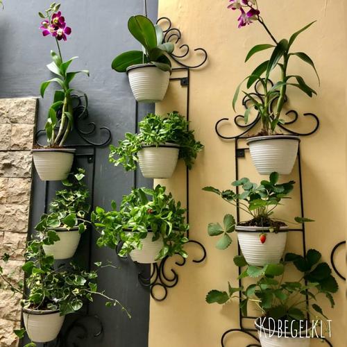 Jual STANDING POT DINDING ANGGREK RAK BUNGA BESI TEMPEL DINDING MURAH ...