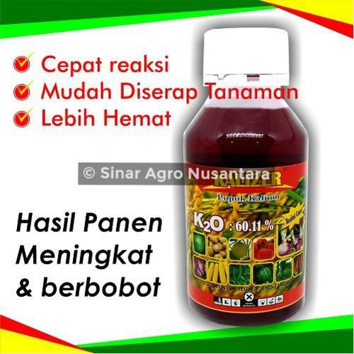 Jual Pupuk Buah KCL Kalizer Nutrisi Booster Tanaman Sayuran, Bunga Buah - Kab. Bojonegoro ...