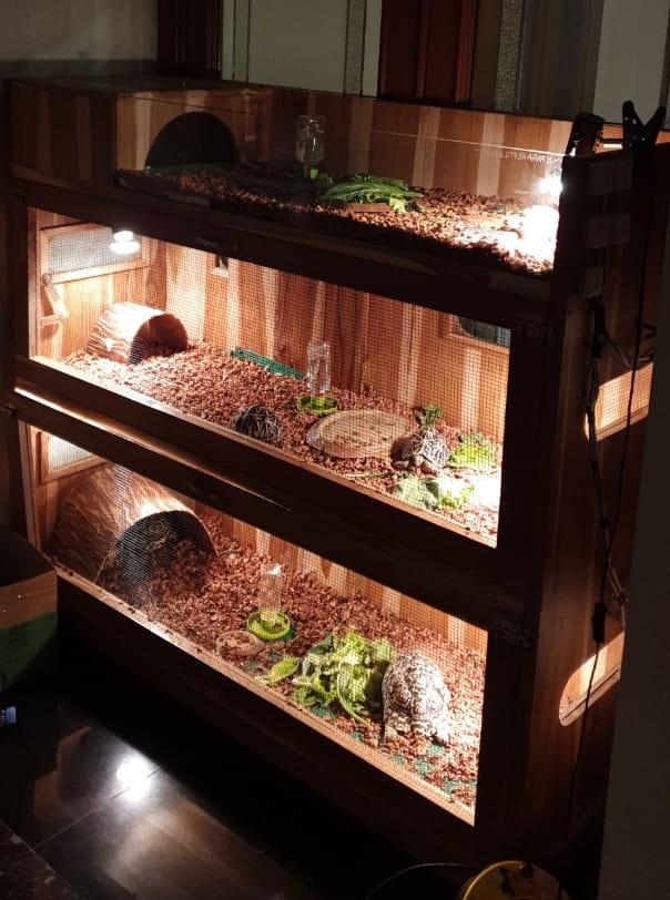 Jual KANDANG REPTIL || TERRARIUM REPTILE 150x50x130 || TORTO TABLE ...