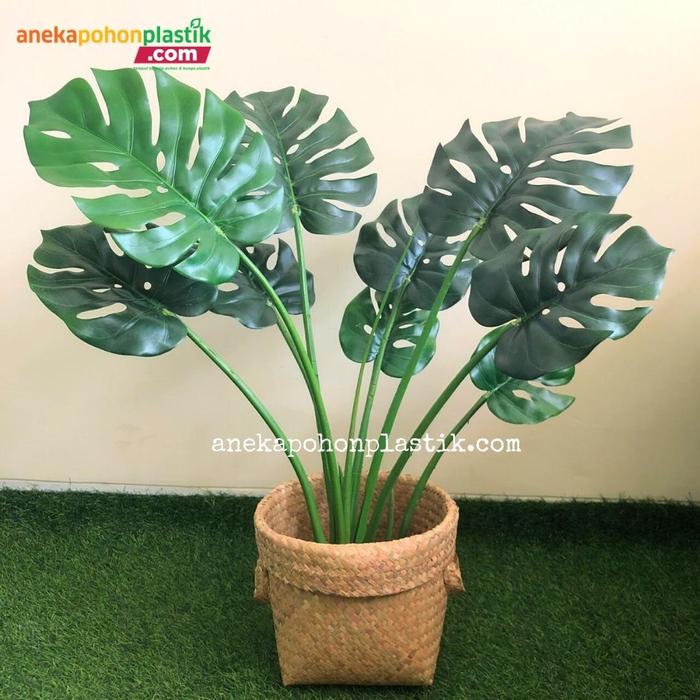 Jual Pohon Daun Monstera T100 Latex Artificial Pot Cover Keranjang ...