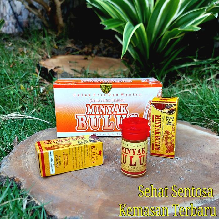 Jual Minyak Bulus Murni Garansi Berkualitas | Bulus Oil 100% Murni ...