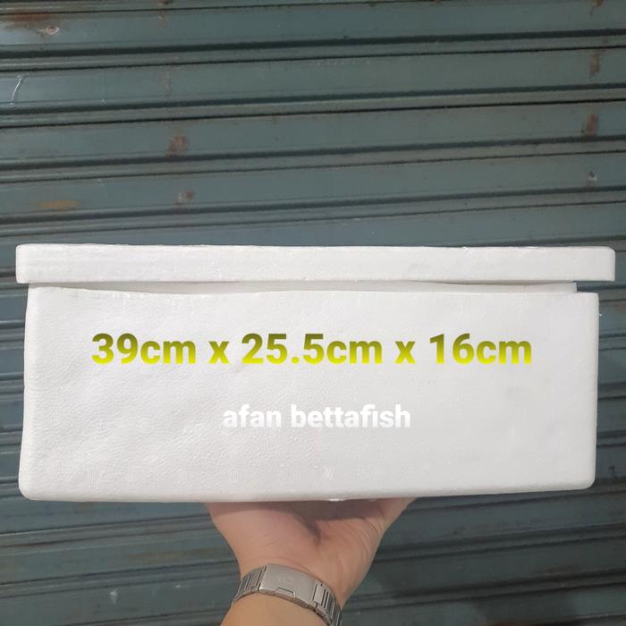 Jual Styrofoam Box Kecil / Styrofoam Fish Box 5KG - Kota Bekasi - AFAN ...