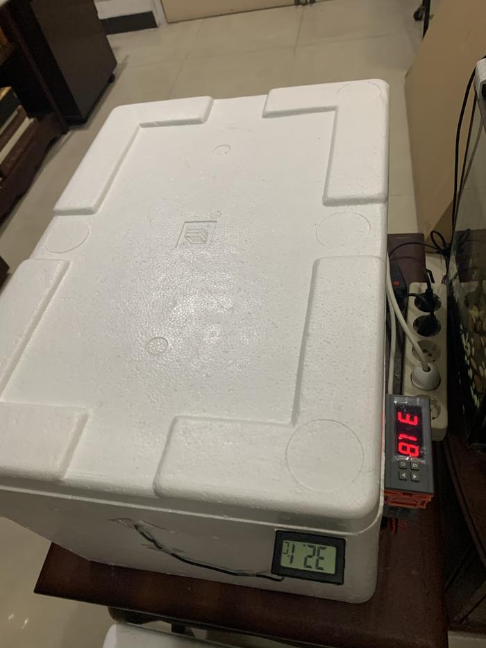 Jual incubator ball python /incubator reptile /inkubator reptil ...