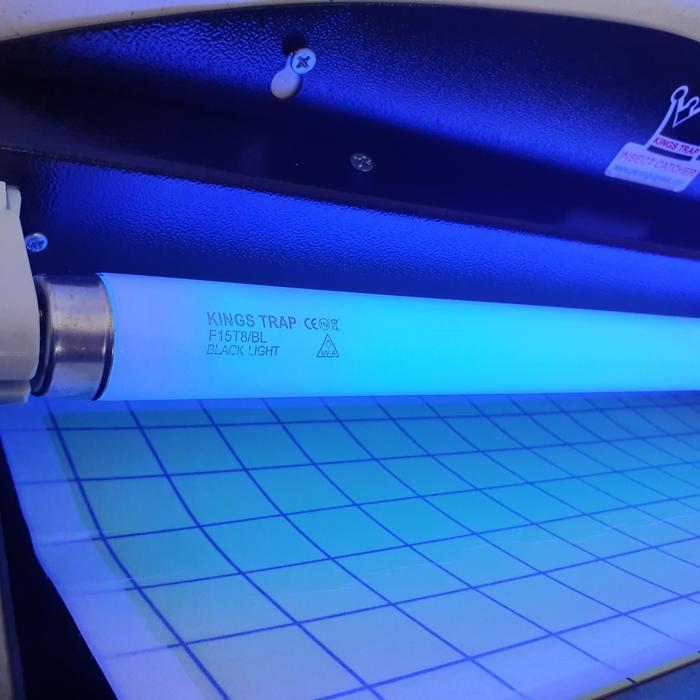 Jual 1 Lampu FlyCatcher / Insect Trap / Lampu Perangkap Lalat Hitam SM ...