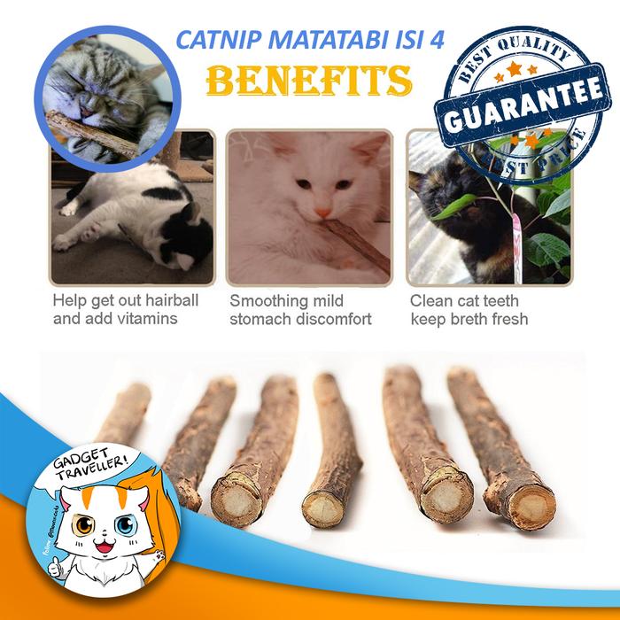 Jual Catnip Matatabi Sticks isi 4 - Snack Kucing Kayu Natural Cat Mint ...