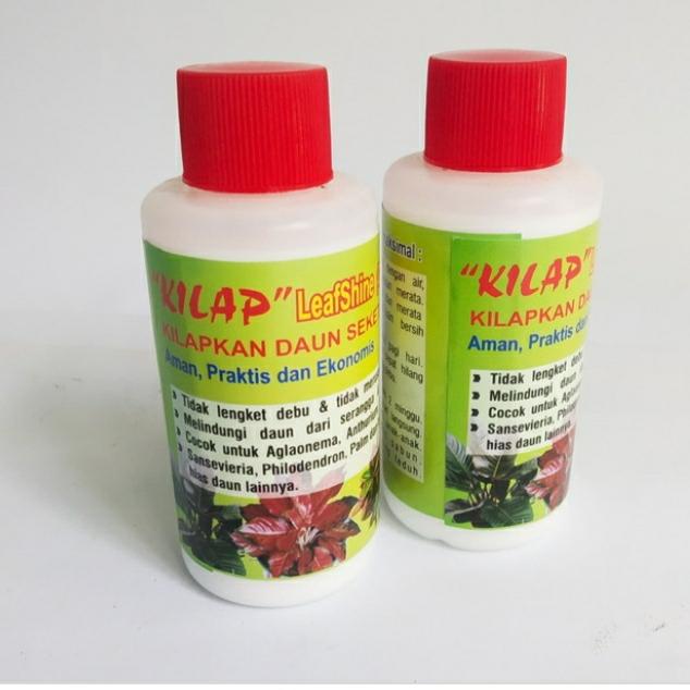 Jual Obat Kilap Daun / Kilap Daun Oles / Kilap Daun Untuk Tanaman Hias ...