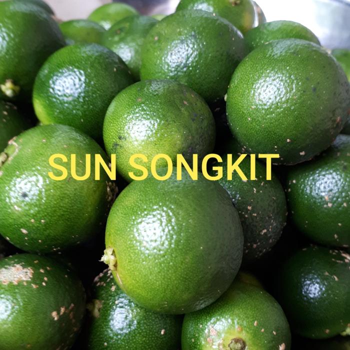 Jual JERUK SONKIT MURAH / JERUK SONGKIT /JERUK KASTURI / LEMON CUI ...