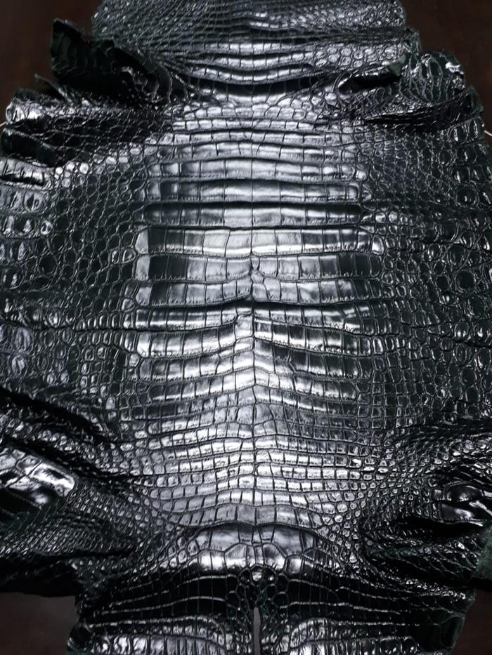 Jual KULIT BUAYA ASLI SINGLE COLOR DAN SPECIAL FINISHING KUALITAS ...