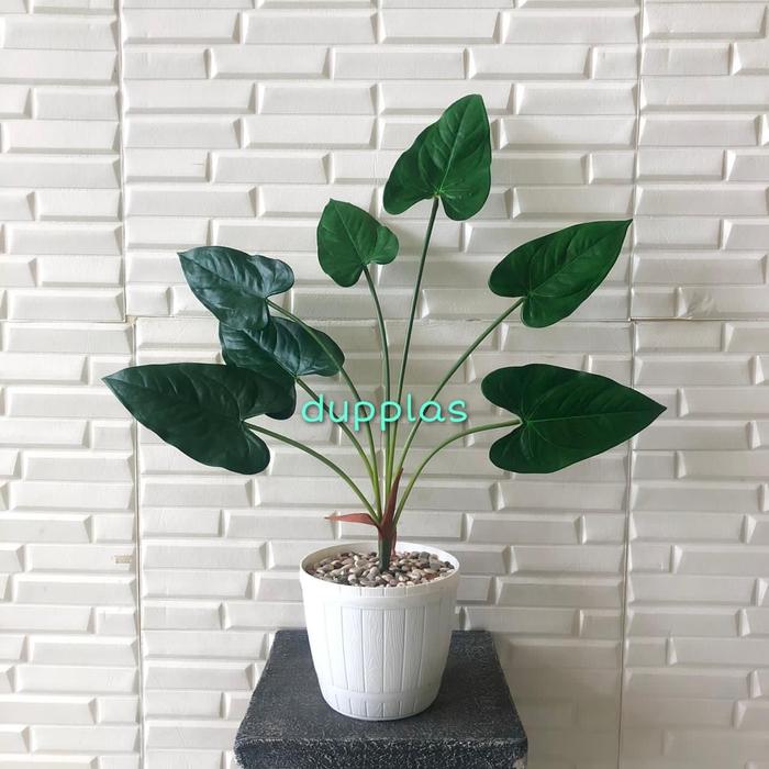 Jual Pohon Daun Talas Hijau Latex Tanaman Taro Artificial Latek ...