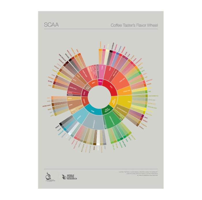 Jual Poster Panduan Aroma dan Rasa Kopi (SCAA Lexicon Wheel) + Frame ...