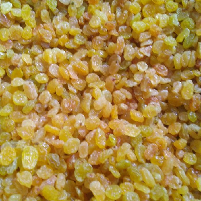 Jual KISMIS MUTIARA ARAB GOLDEN 100Gr KERING KUNING MANIS ORGANIK JUMBO ...