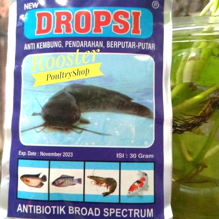 Promo Dropsy Obat ikan Bersisik nanas by Tamasindo Obat ikan - Jakarta ...