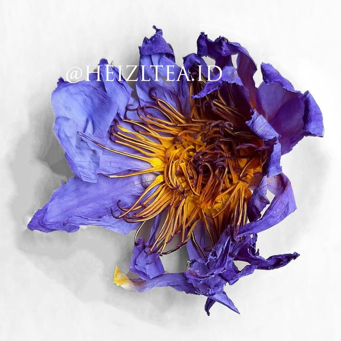 Promo HEIZL Dried Blue Lotus Flower Bunga Lotus Biru Kering Smoke n Tea ...
