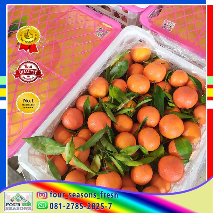 Jeruk Buah