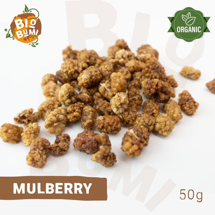 Jual Mulberry 50g - Mulberi Kering - BioBumi - Jakarta Utara - BioBumi ...