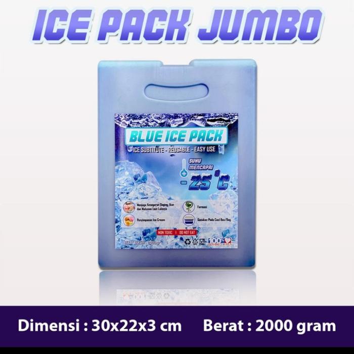 Jual Ice Pack Besar Icepack Kotak Besar Blue Ice Pengganti Dry Ice ...