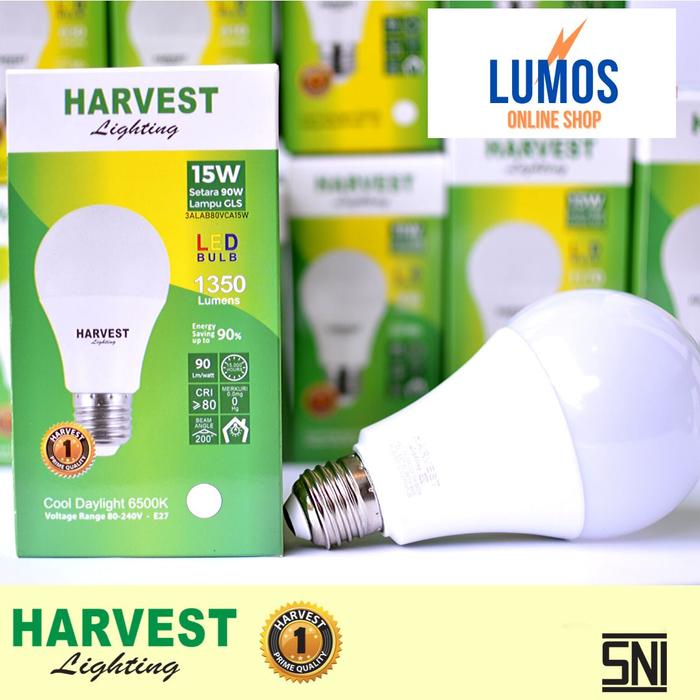 Lumos Lighting Jakarta | Shelly Lighting