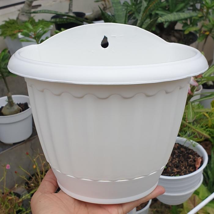 Jual Pot bunga dinding tempel SA TP20 putih pot dinding putih ada ...