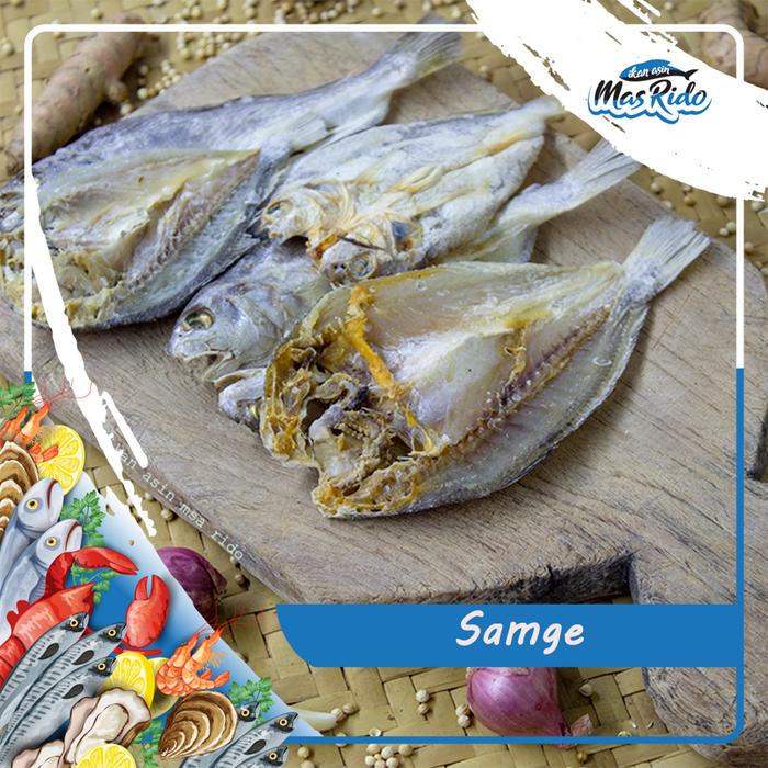 Jual Ikan Asin Samge - Jakarta Utara - Warung Ikan Asin Ms Rido | Tokopedia