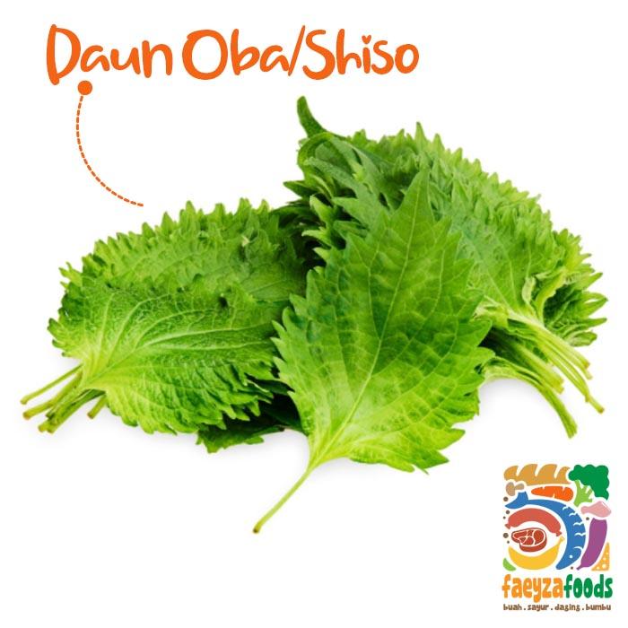 Jual Daun Shiso/Daun Oba/Daun Perilla/Japan Herb Segar (pack) - Kota ...