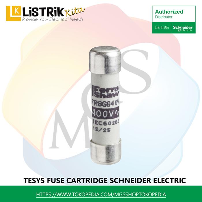 Jual FUSE SCHNEIDER FUSE-DISCONNECTOR FUSE CARTRIDGE 10X39MM AM 2A ...