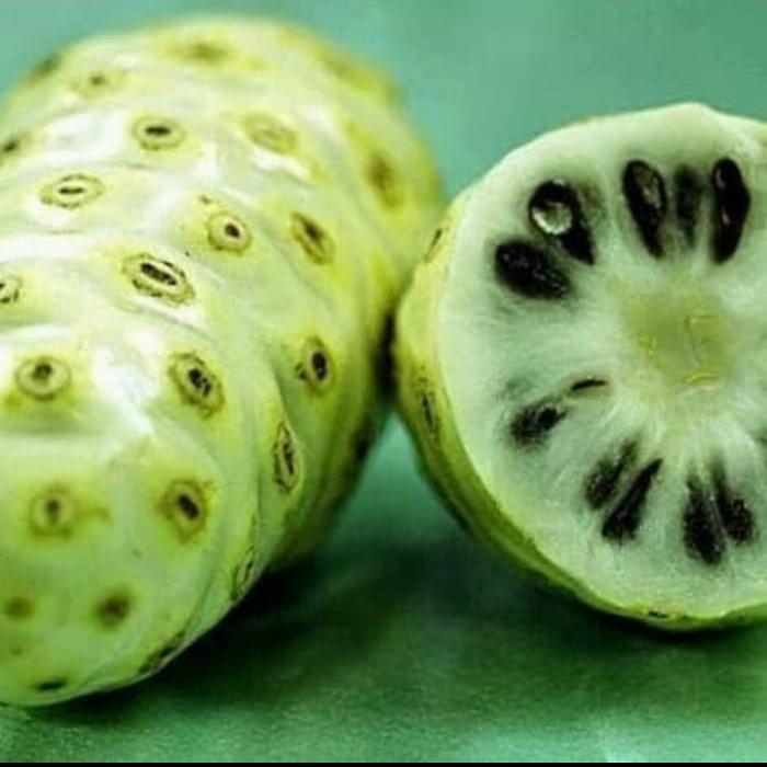 Jual Buah Pace Mengkudu 1Kg - Buah Herbal Pace Mengkudu -Buah Noni ...