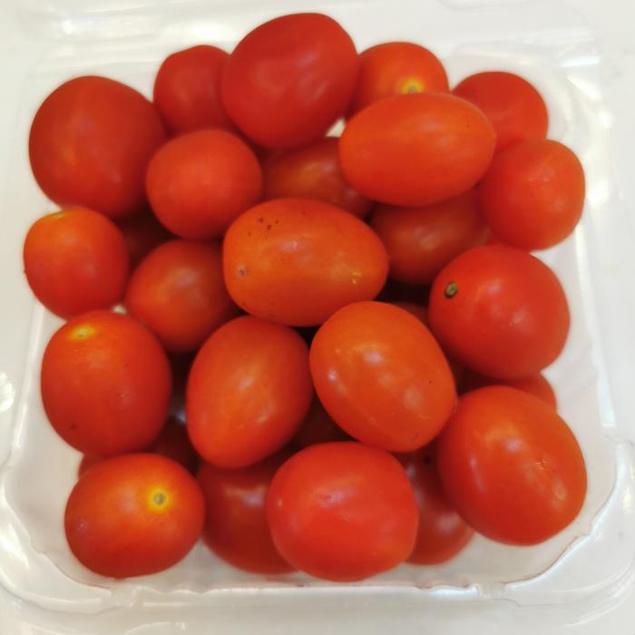 Jual buah sayur tomat ceri red cherry tomato berastagi premium ...
