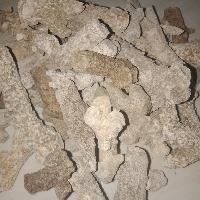 Jual karang jahe penstabil pH media filter 500 gram - Kota Tangerang ...