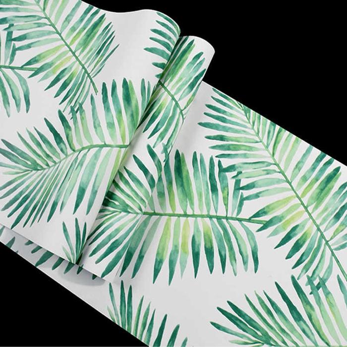 Jual Wallpaper sticker dinding motif Tumbuhan Pakis - Jakarta Utara ...