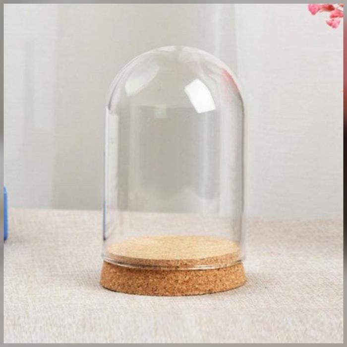 Jual BIG Glass Dome Kubah 12x8cm for Preserved Flower kotak kaca ...