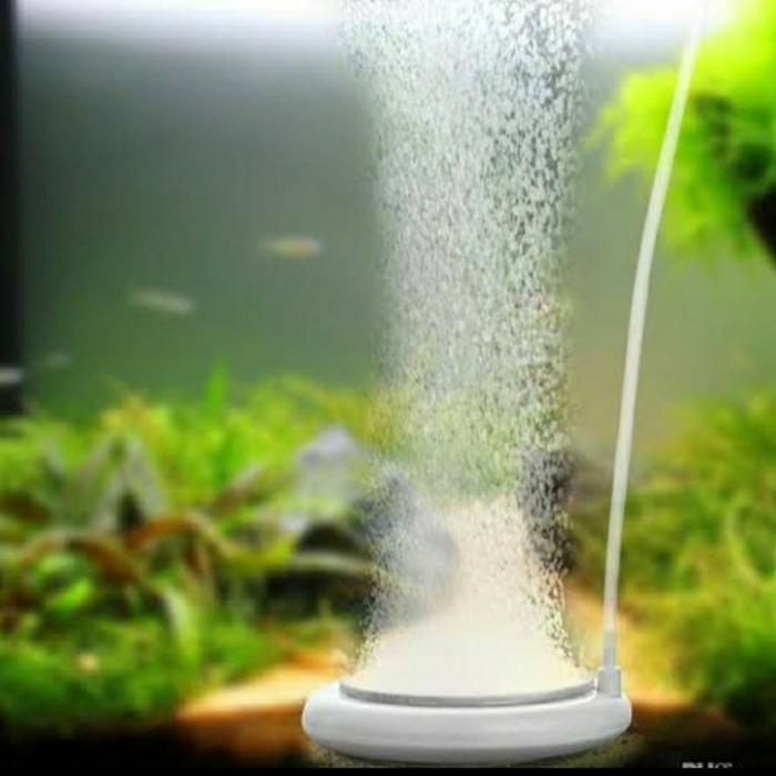 Jual Nano Air Bubble Diffuser 5 cm, Batu Aerator Nano. Aerasi Aquarium ...